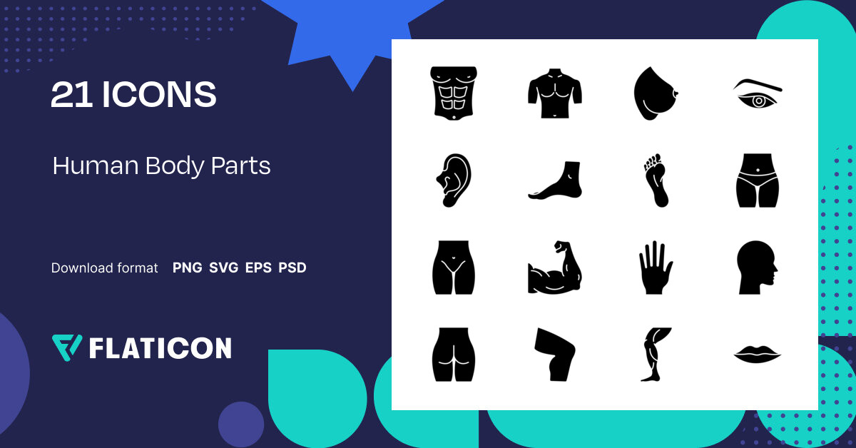 Human Body Parts Icon Pack | Glyph | 21 .SVG Icons