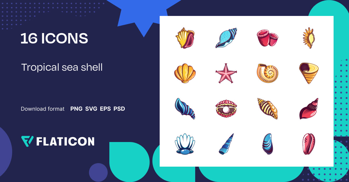 Tropical sea shell Icon Pack | 16 .SVG Icons