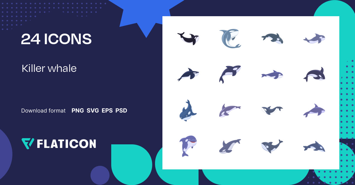 Killer whale Icon Pack | 24 .SVG Icons